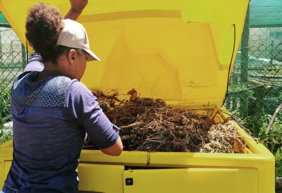 Recycling Igloo Bin - Postwink